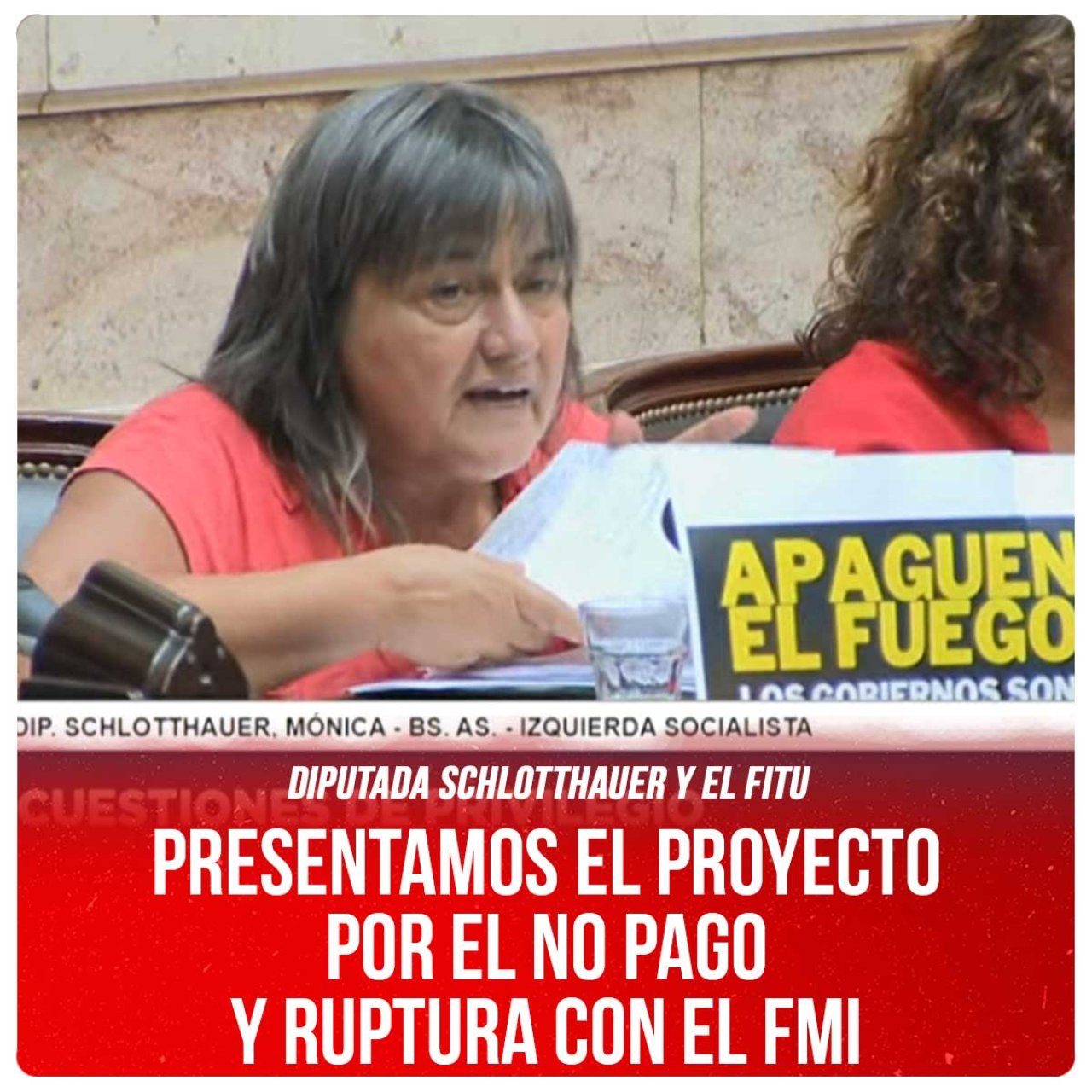 Diputada Schlotthauer y el FITU / Presentamos el proyecto por el no ...